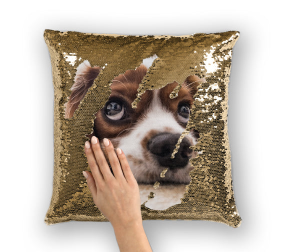 Sequin Cushion Cover – Maystat