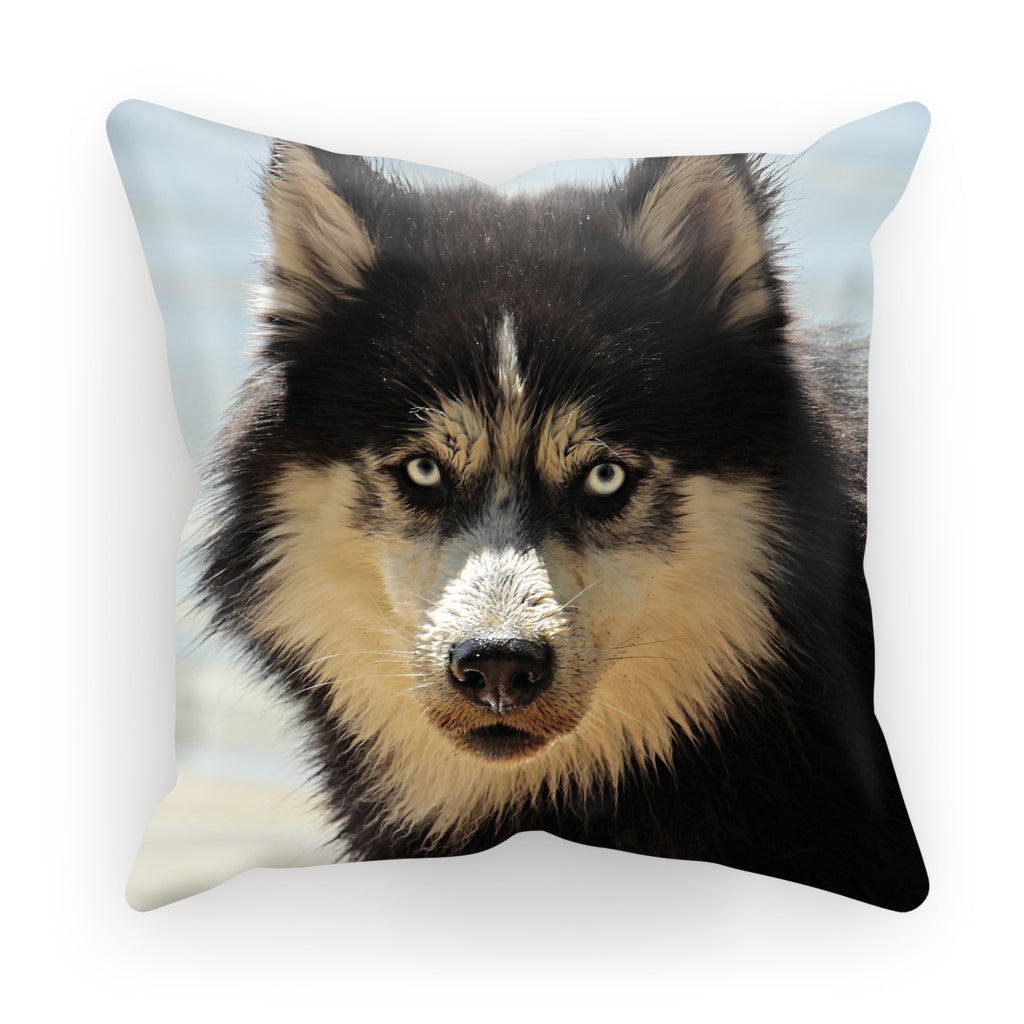 Printed Cushion Covers – Maystat